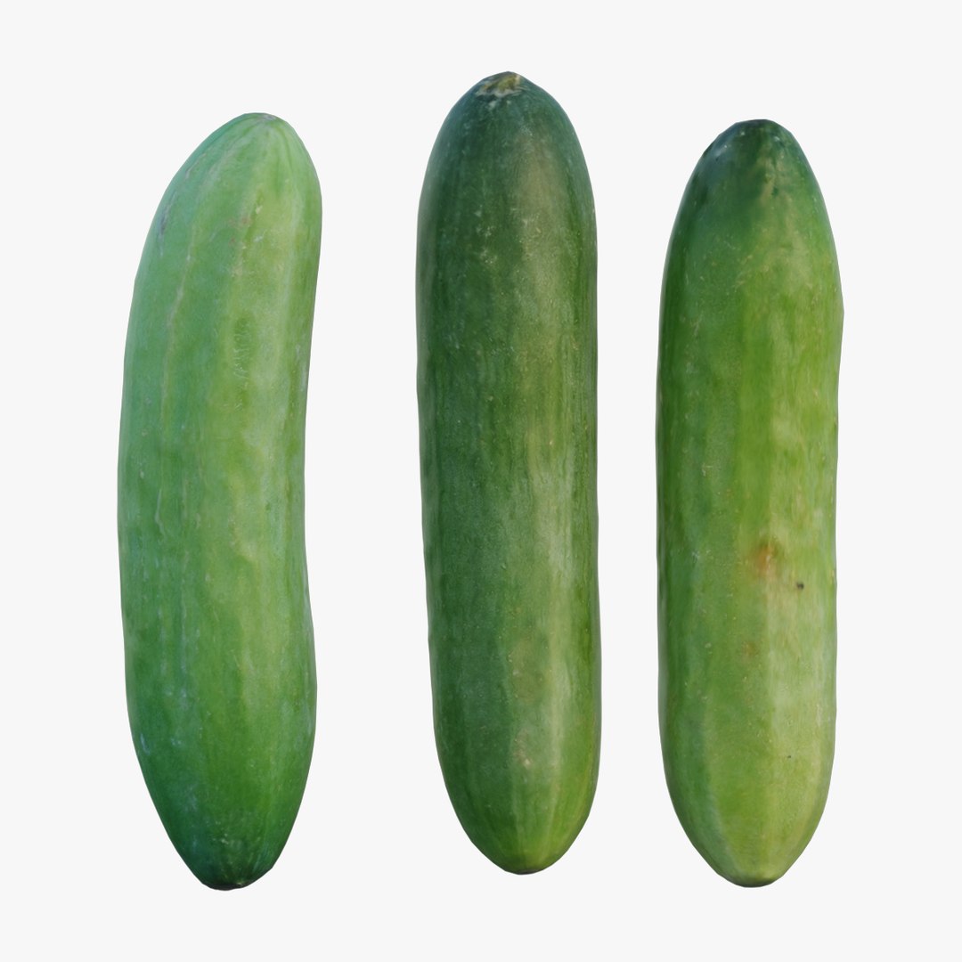 modelo 3d Baby Cucumber 02 - TurboSquid 1906678