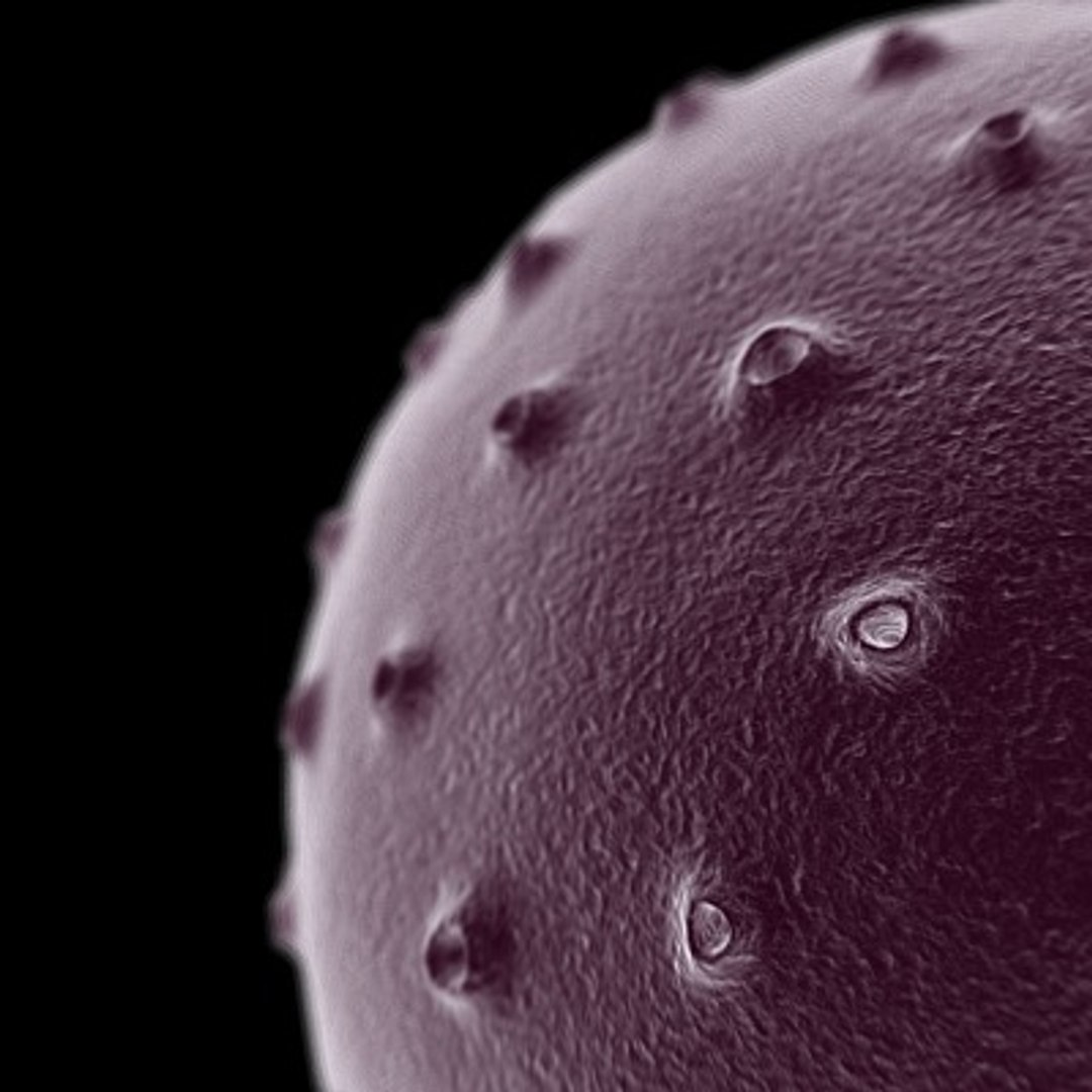 3d Model Mutated Microscopic Cell 1