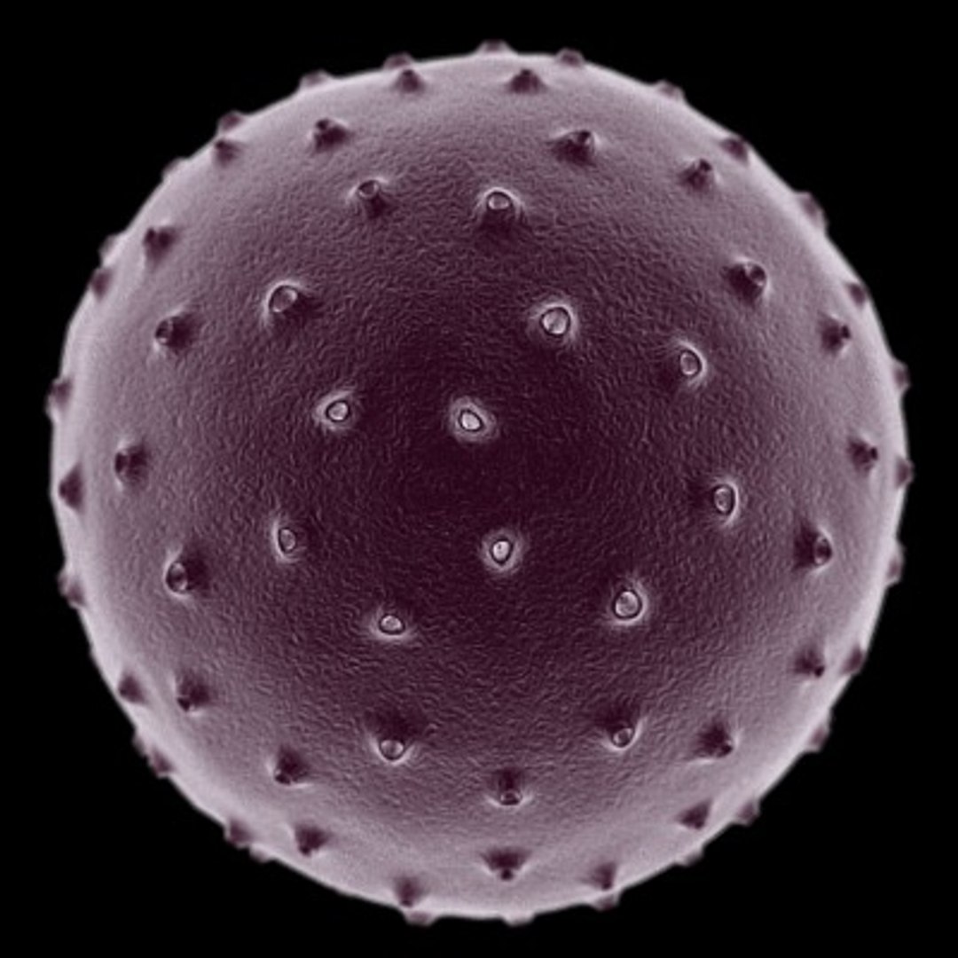 3d Model Mutated Microscopic Cell 1