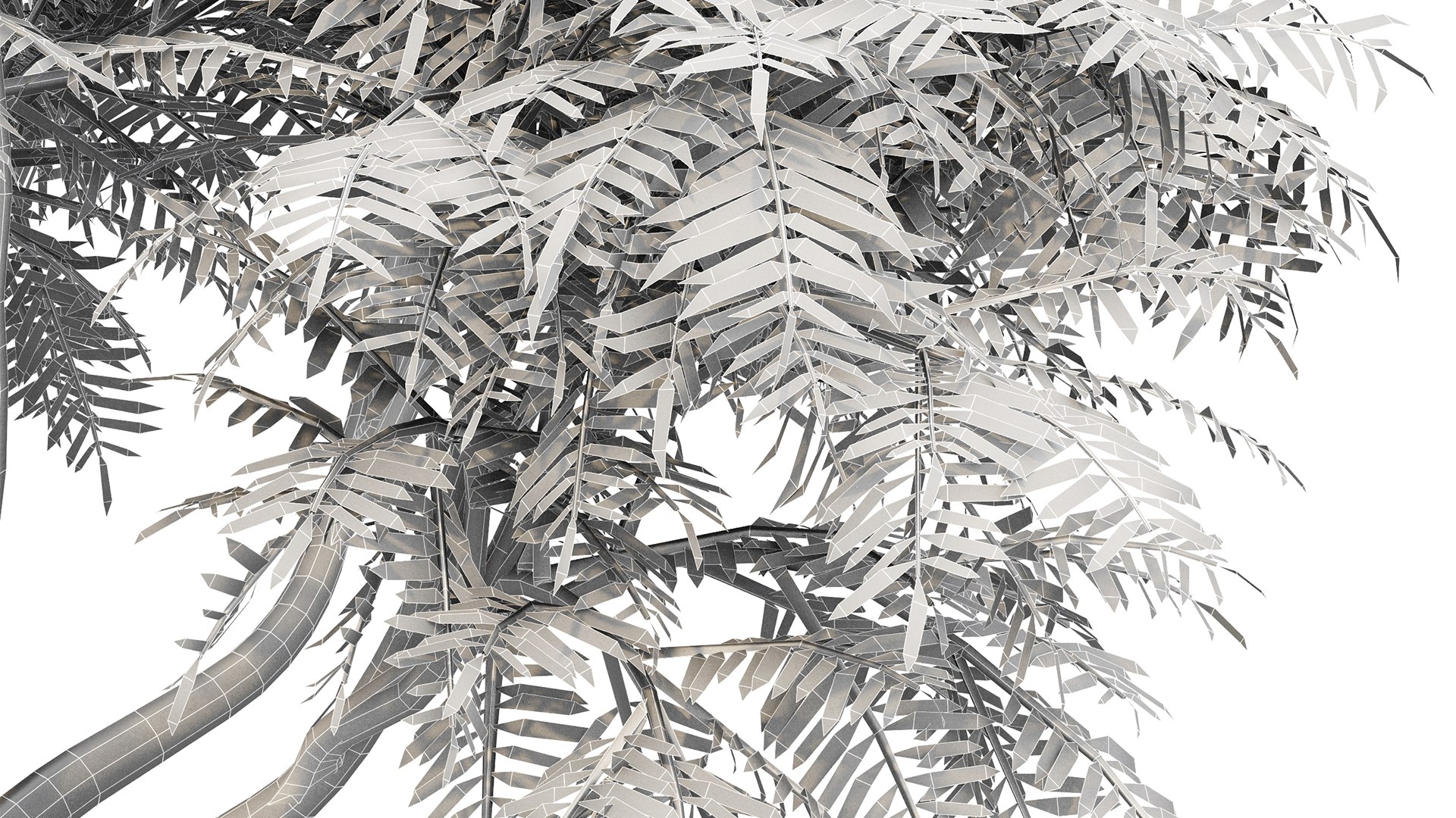 3D Model Velvet Mesquite 2Trees - TurboSquid 2243021