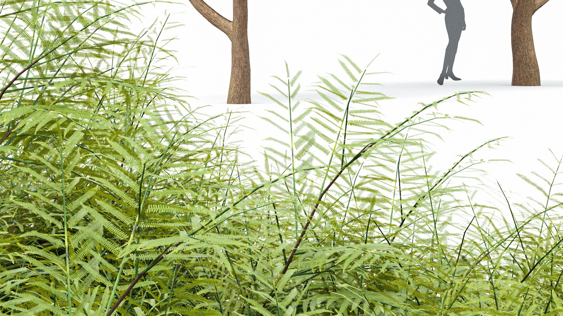 3D Model Velvet Mesquite 2Trees - TurboSquid 2243021