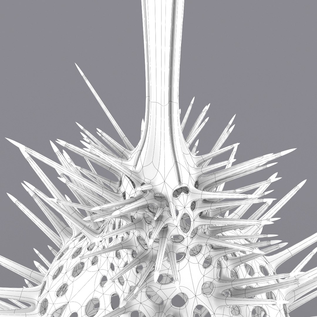 3d Model Ernst Microscopic Creatures Cyrtoidea