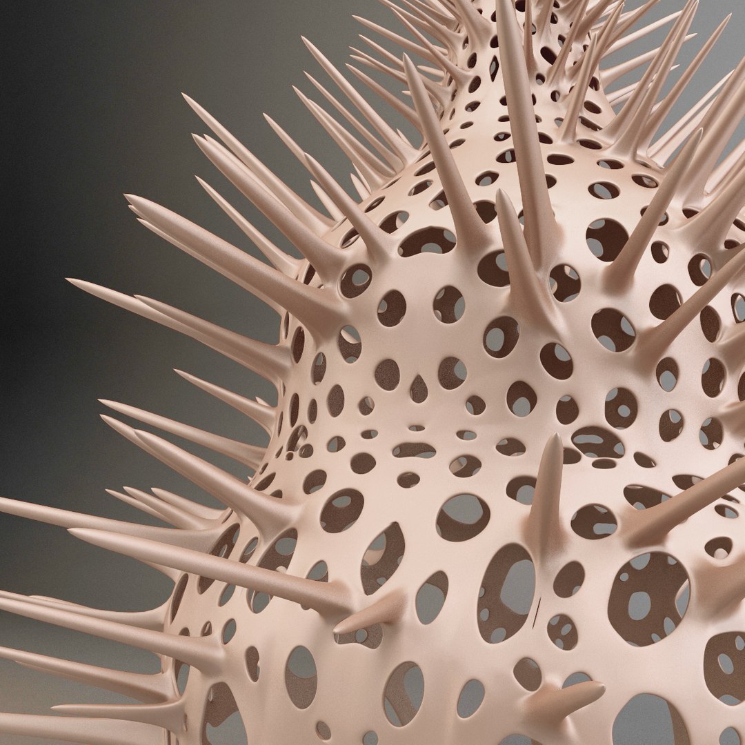 3d Model Ernst Microscopic Creatures Cyrtoidea