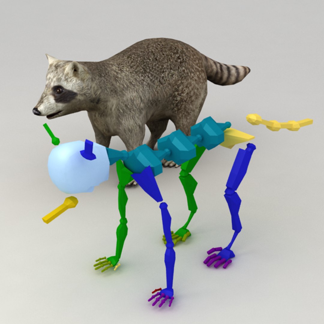 Max Rigged Raccoon