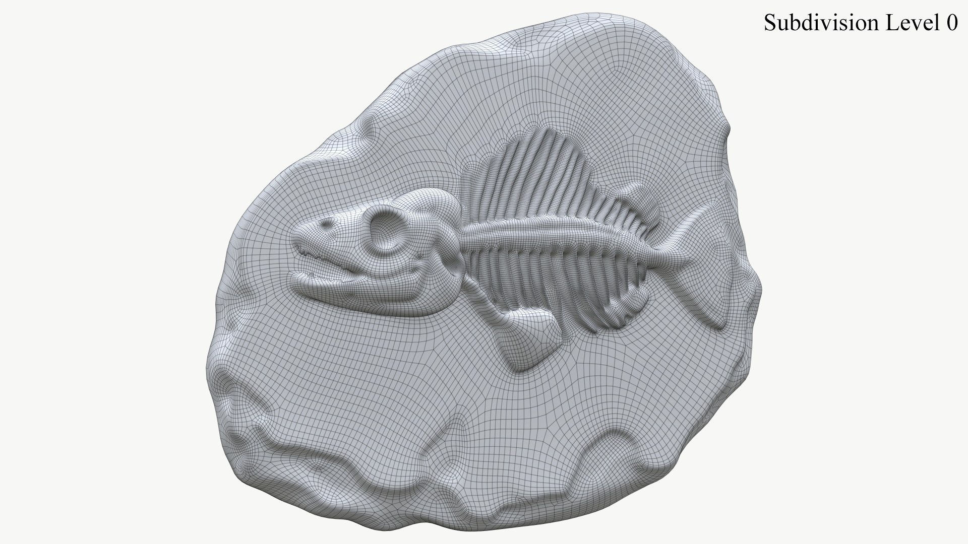 Prehistoric Fish Skeleton Fossil 027 Textured 3D - TurboSquid 2304662