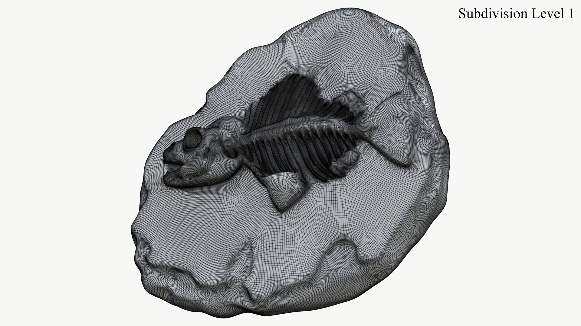 Prehistoric Fish Skeleton Fossil 027 Textured 3D - TurboSquid 2304662