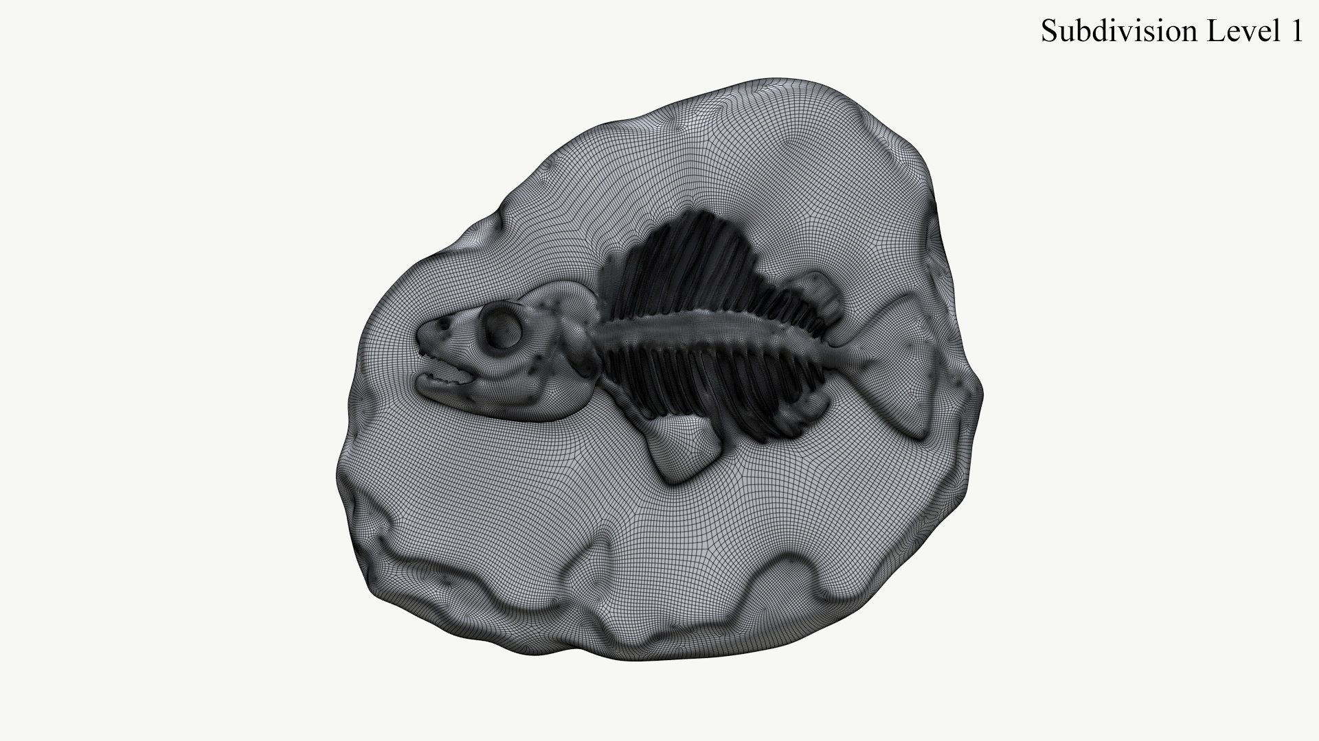 Prehistoric Fish Skeleton Fossil 027 Textured 3D - TurboSquid 2304662