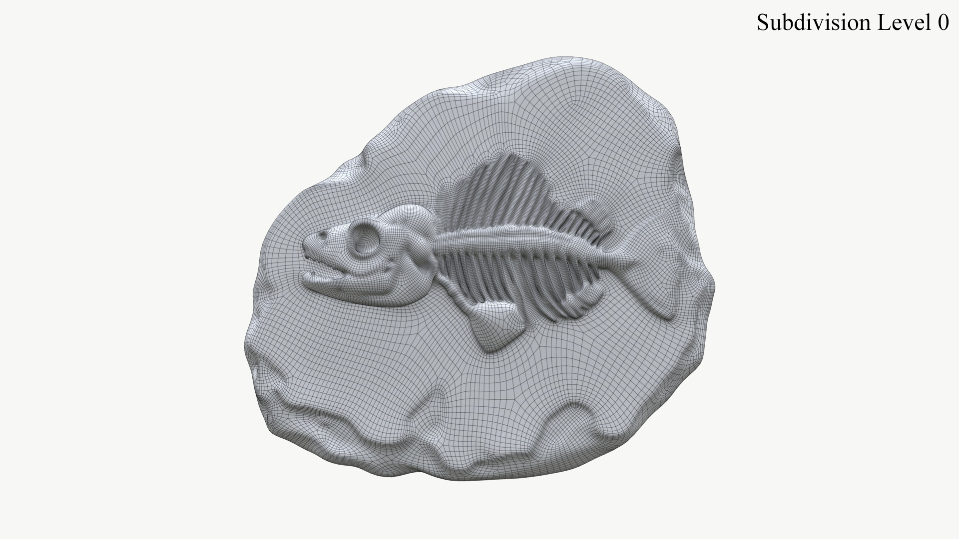 Prehistoric Fish Skeleton Fossil 027 Textured 3D - TurboSquid 2304662