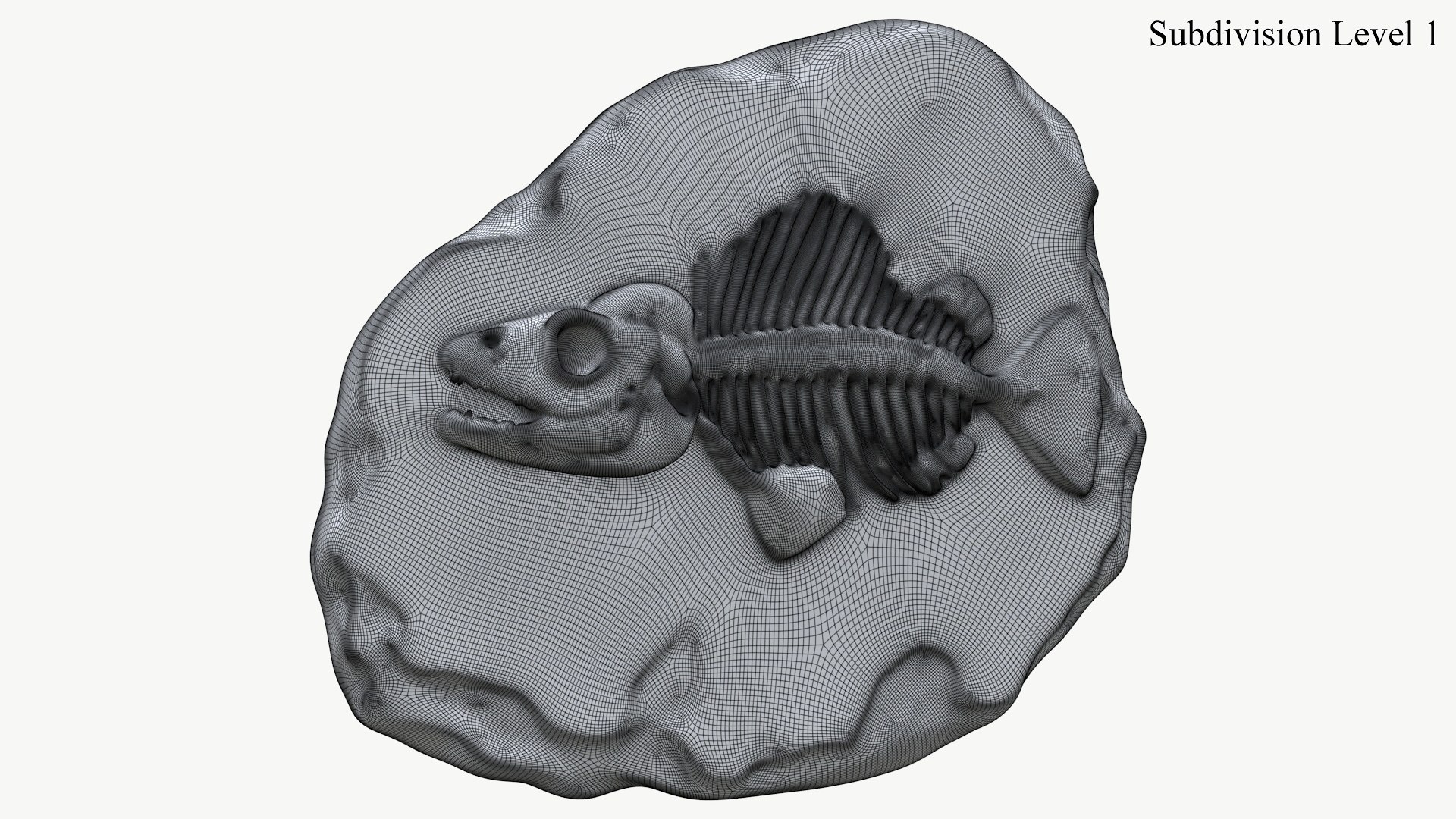 Prehistoric Fish Skeleton Fossil 027 Textured 3D - TurboSquid 2304662