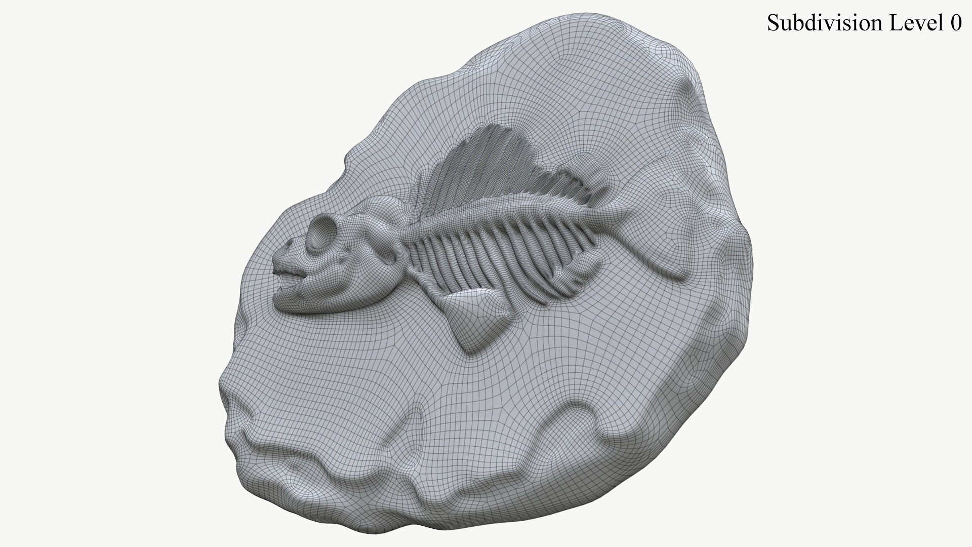 Prehistoric Fish Skeleton Fossil 027 Textured 3D - TurboSquid 2304662