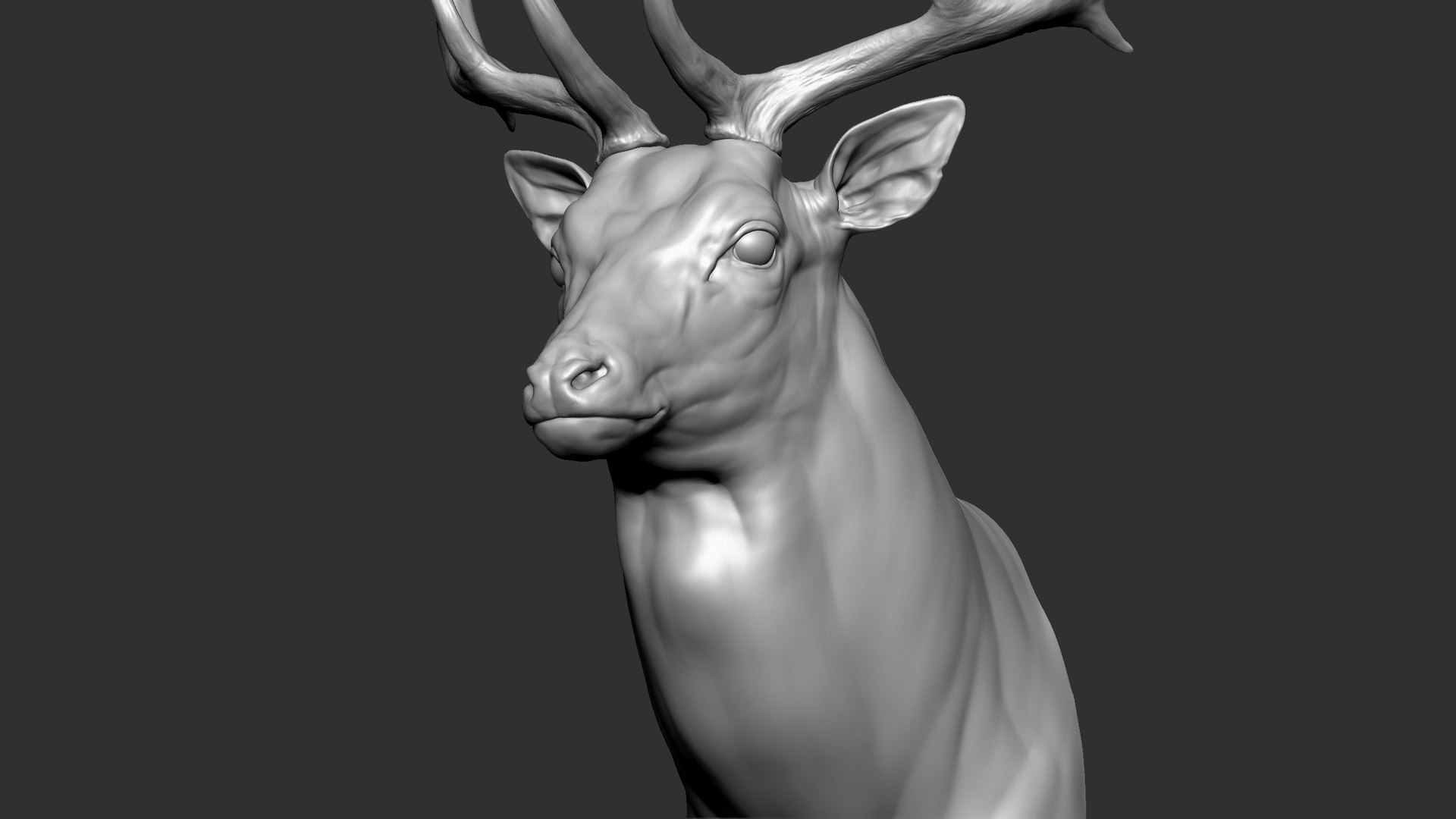 Fallow Deer Buck Dama Dama Head Sculpture Model - TurboSquid 1944942