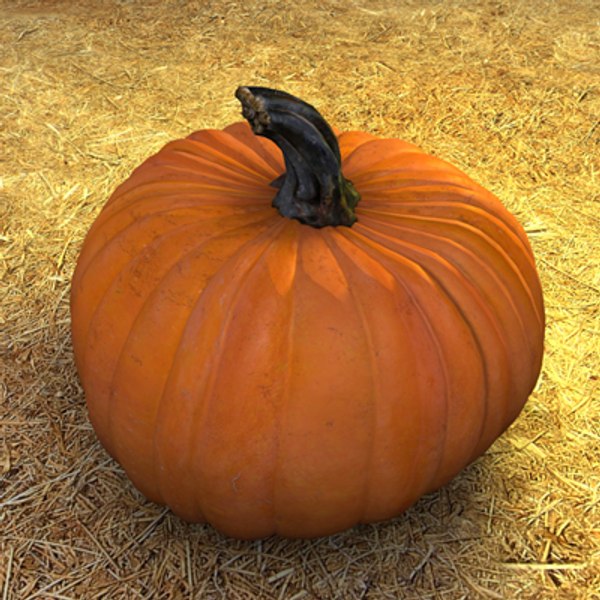 3d pumpkin model