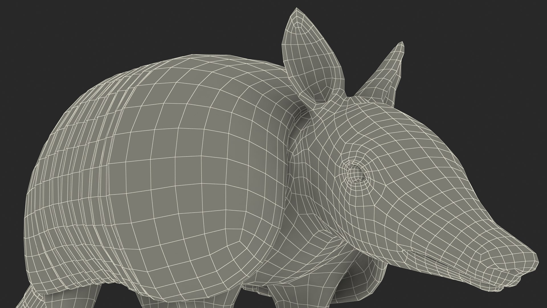 Armadillo Pink 3D Model - TurboSquid 2248170