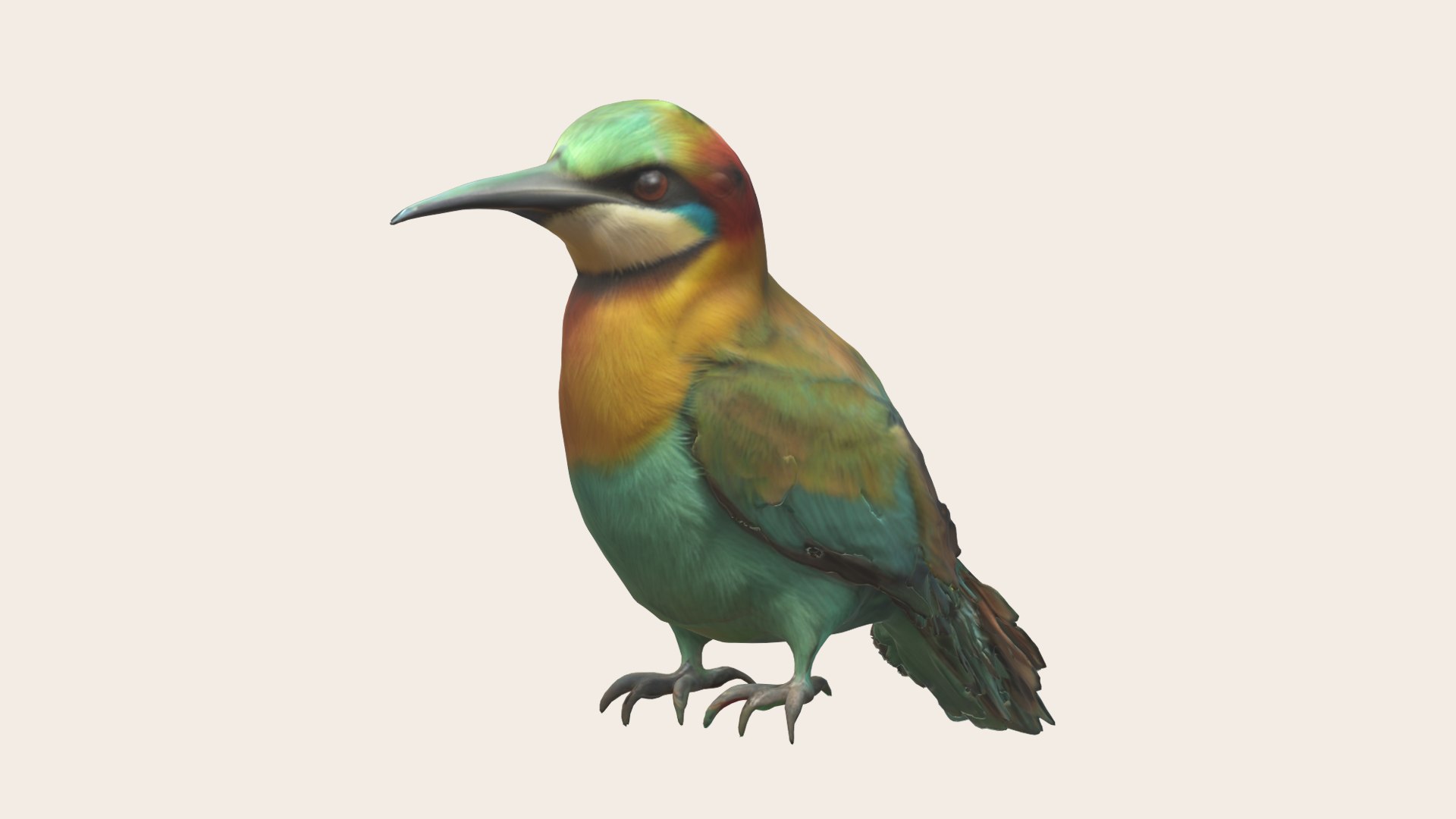 3D Bee Eater Bird Model - TurboSquid 2275711
