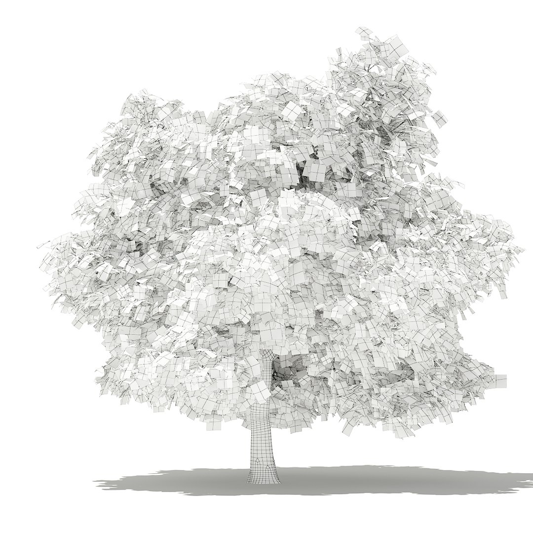 3D Mango Tree 4 8m - TurboSquid 1306279