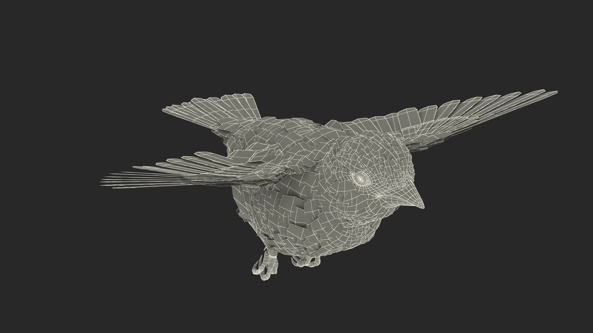 3D House Sparrow Fly - TurboSquid 2140550