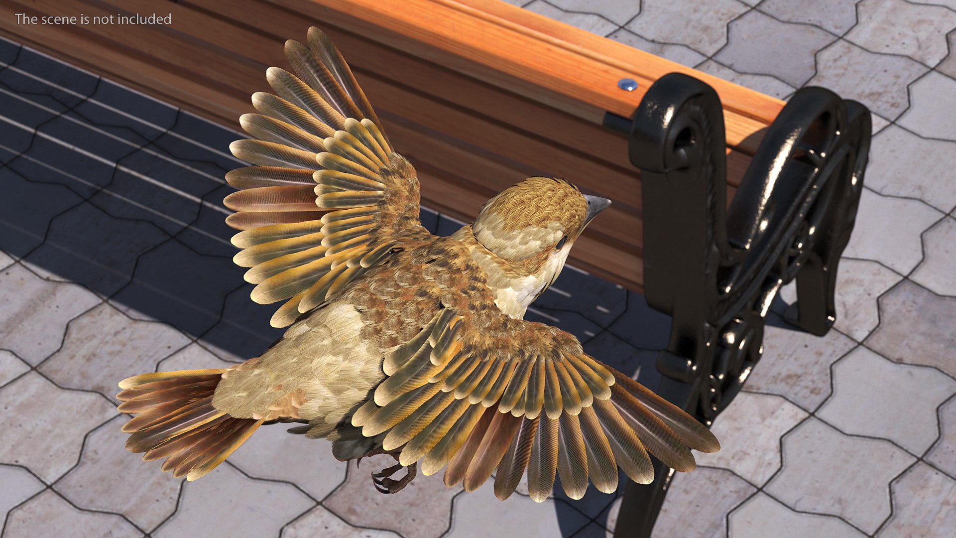 3D House Sparrow Fly - TurboSquid 2140550