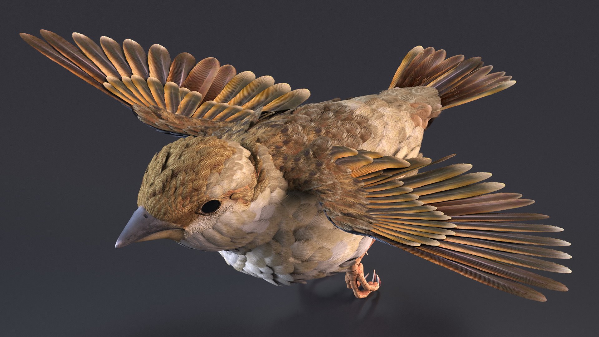 3D House Sparrow Fly - TurboSquid 2140550