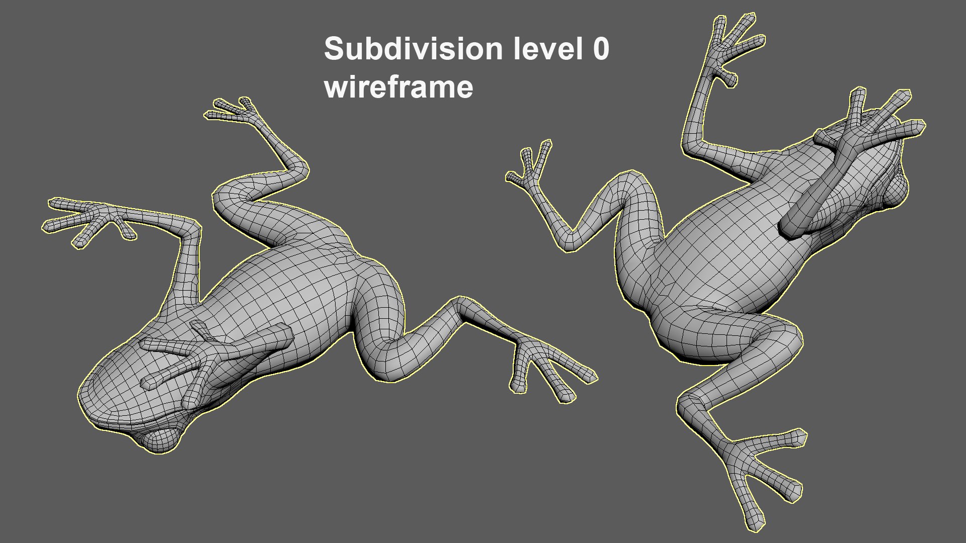 Reticulated Frog Model - TurboSquid 2200636
