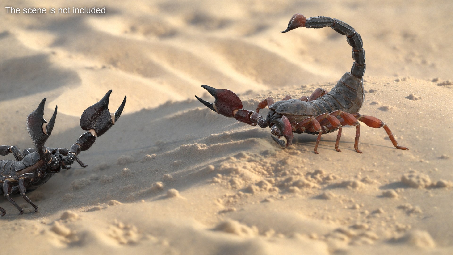 Walking Scorpion Animated Rigged For Cinema 4D Model - TurboSquid 2469243