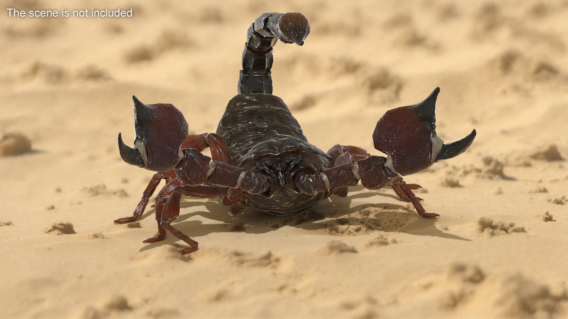 Walking Scorpion Animated Rigged For Cinema 4D Model - TurboSquid 2469243