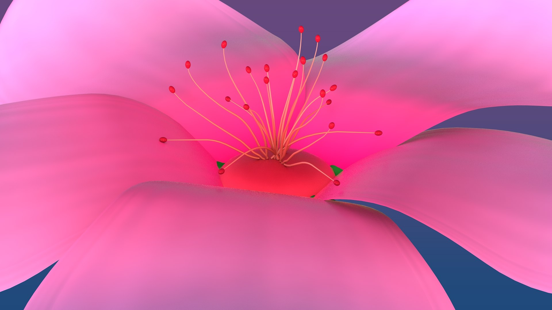 3D Cherry Blossom Sakura - TurboSquid 1673589