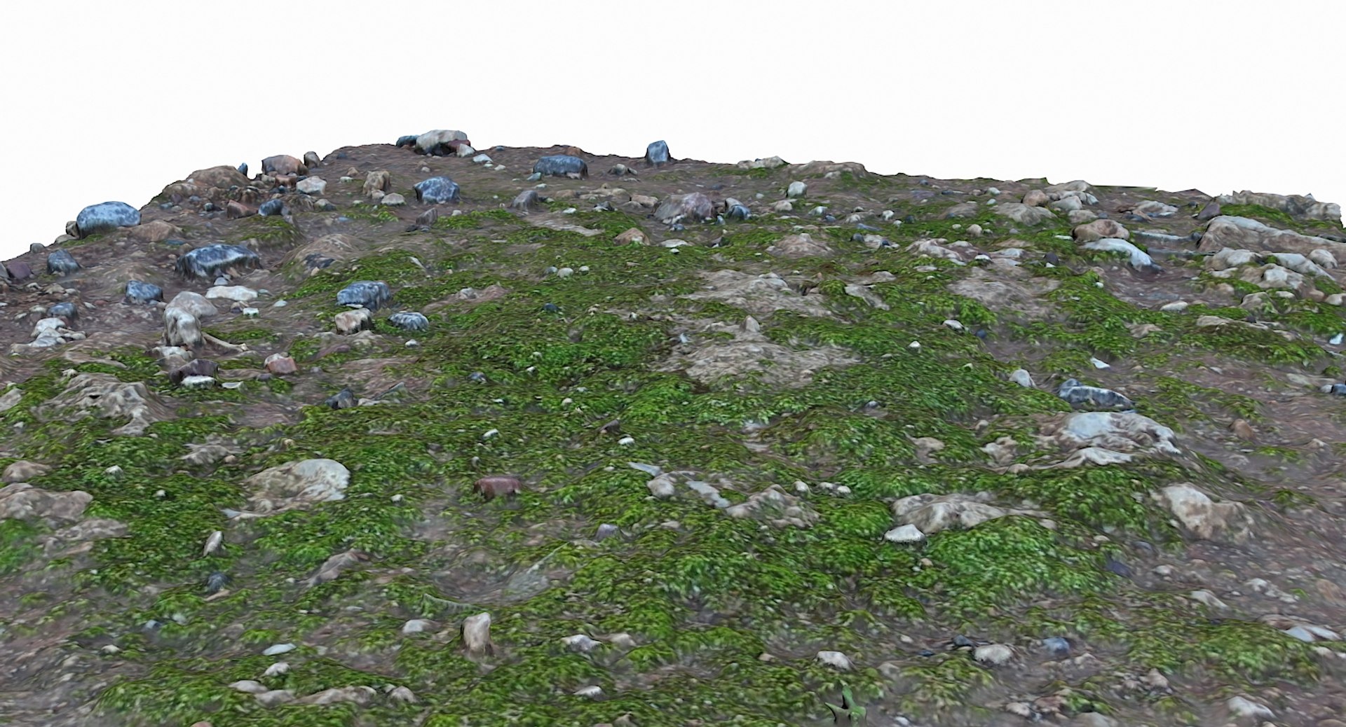 3D Mossy Ground - TurboSquid 1368682