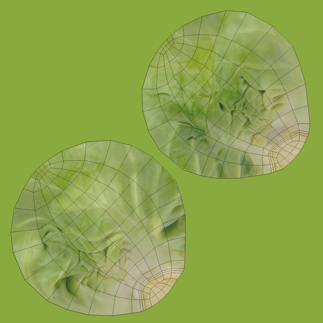 3D Brussels Sprout 2 Model - TurboSquid 1254611