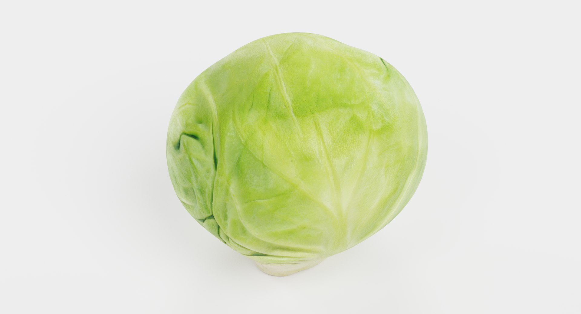 3D Brussels Sprout 2 Model - TurboSquid 1254611