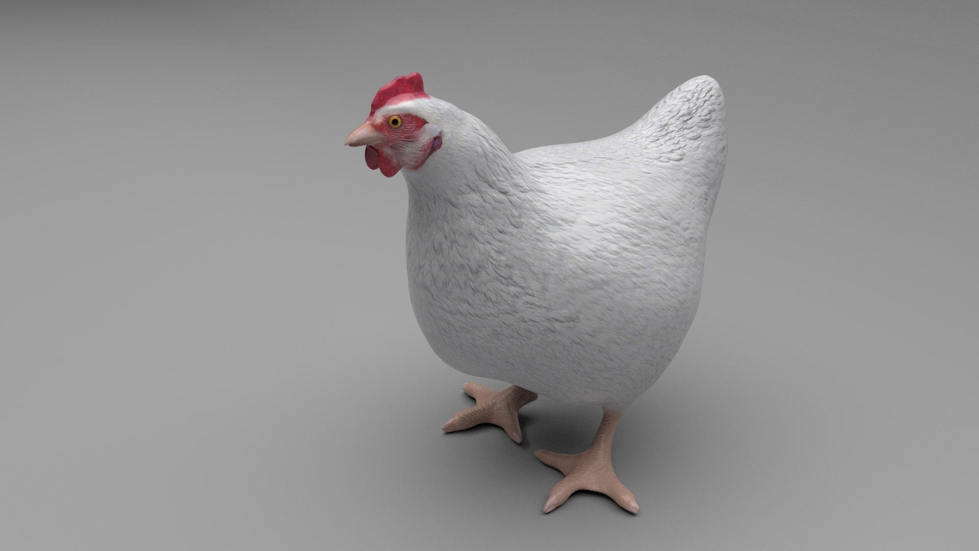 3D Chicken Model - TurboSquid 1615975