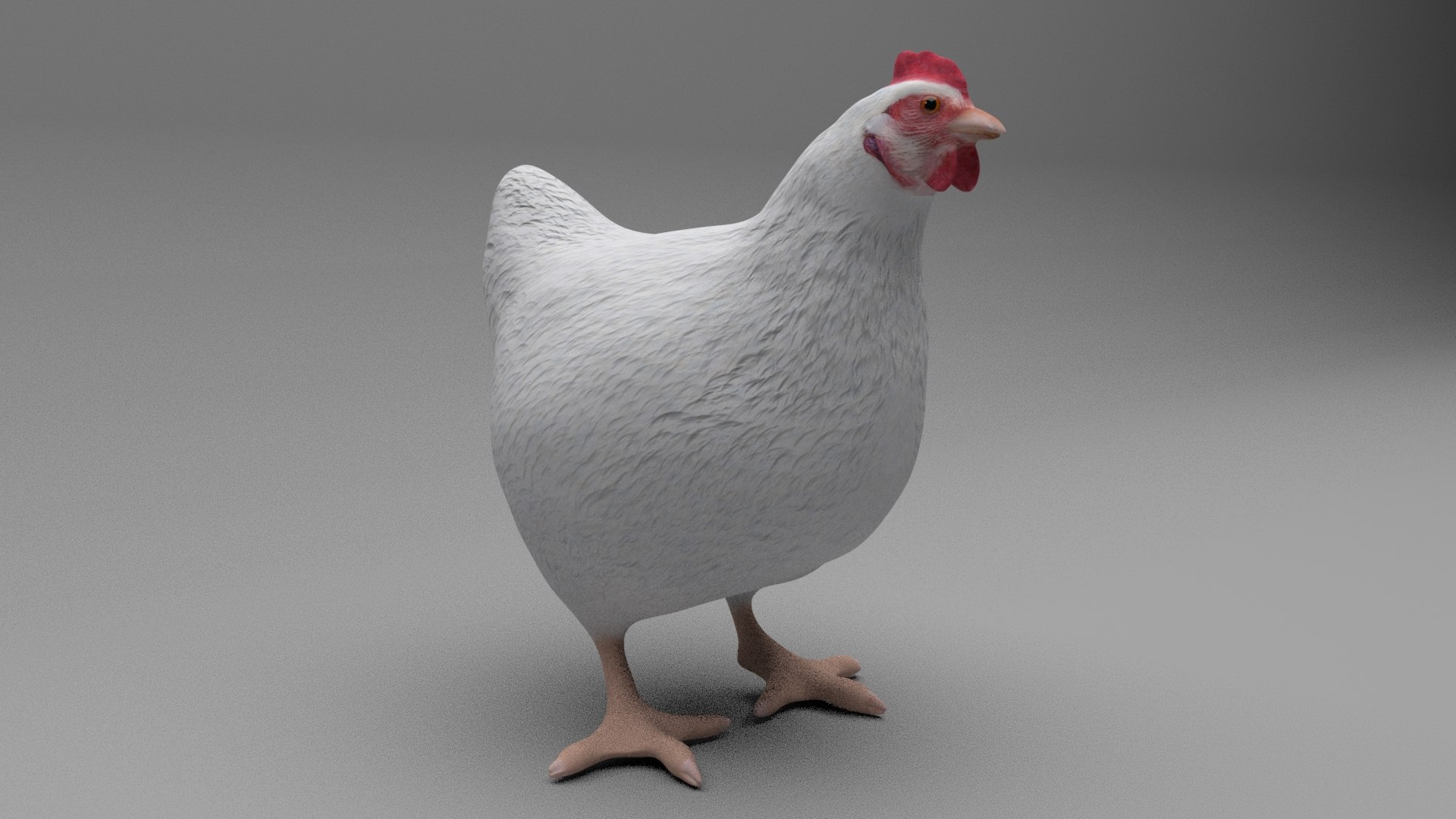 3D Chicken Model - TurboSquid 1615975