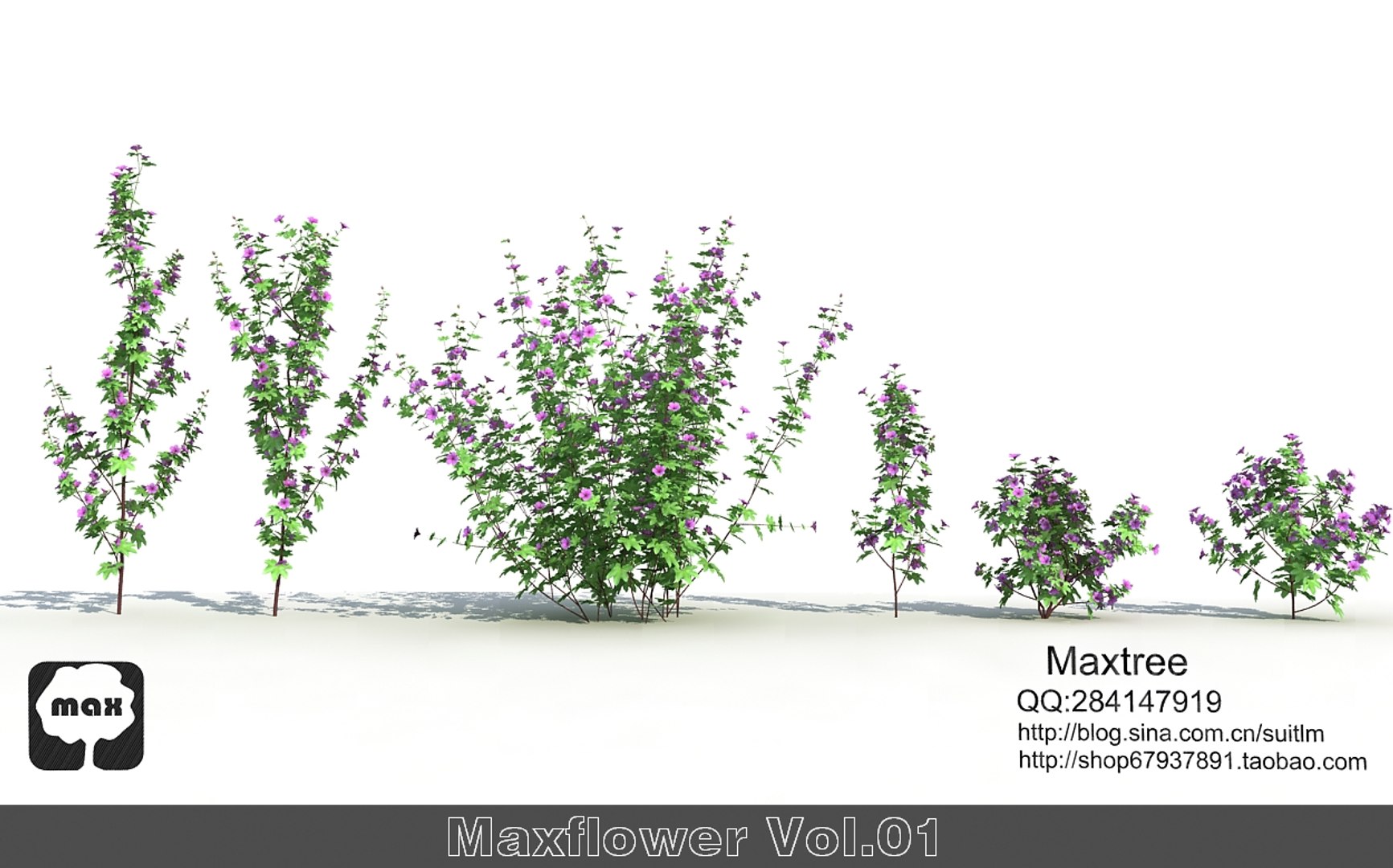3d Hd Flowers Model