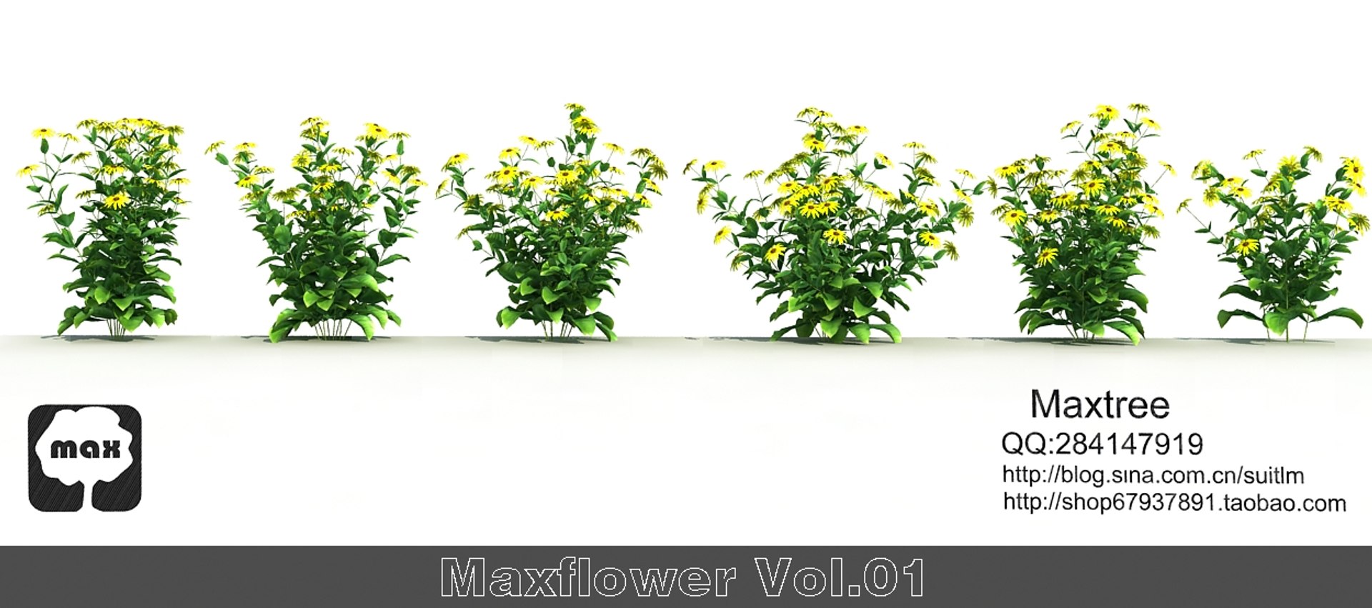 3d Hd Flowers Model