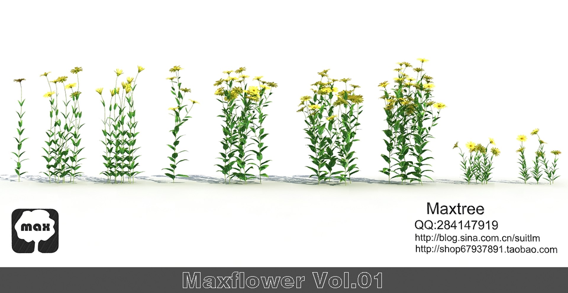 3d Hd Flowers Model