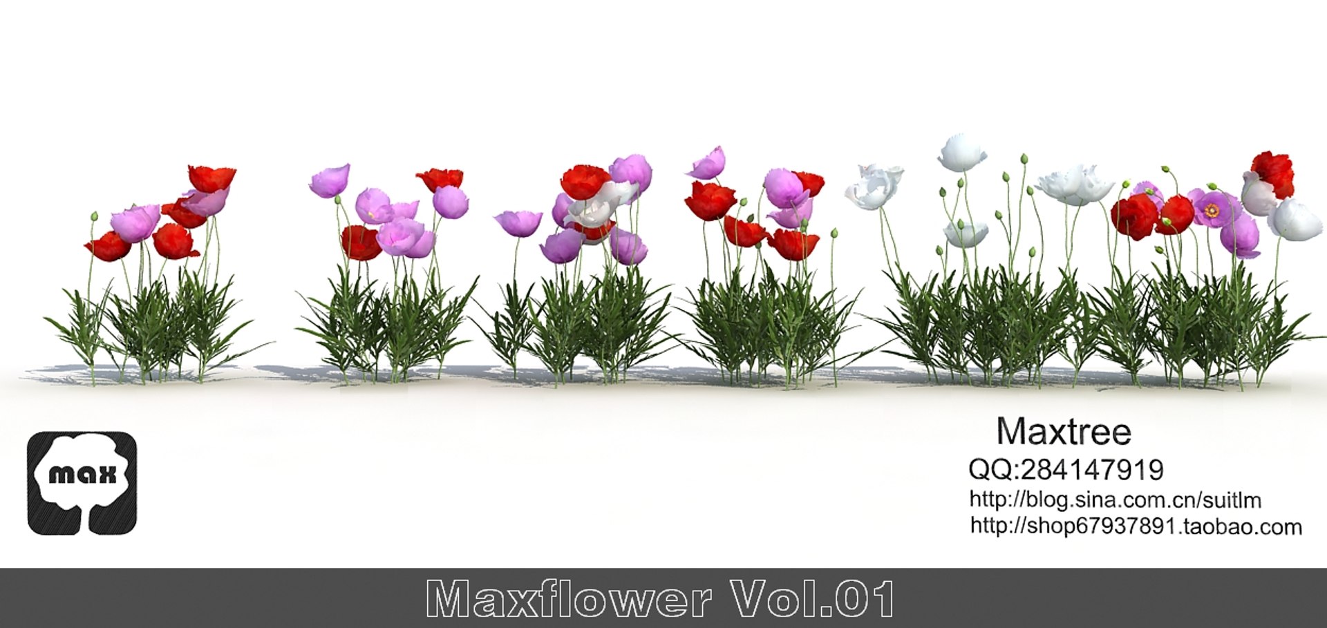 3d Hd Flowers Model
