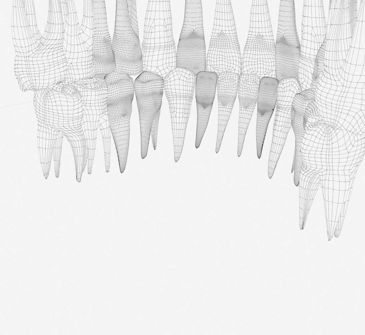 3D Teeth - TurboSquid 1432280