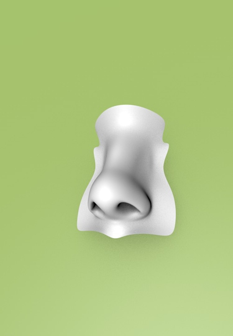 Nose Nos 3D Model - TurboSquid 1168162