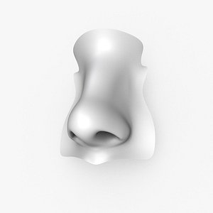 3D Nose Models - Browse & Download Formats - TurboSquid