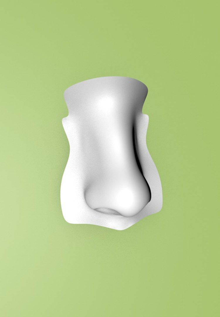 Nose Nos 3D Model - TurboSquid 1168162
