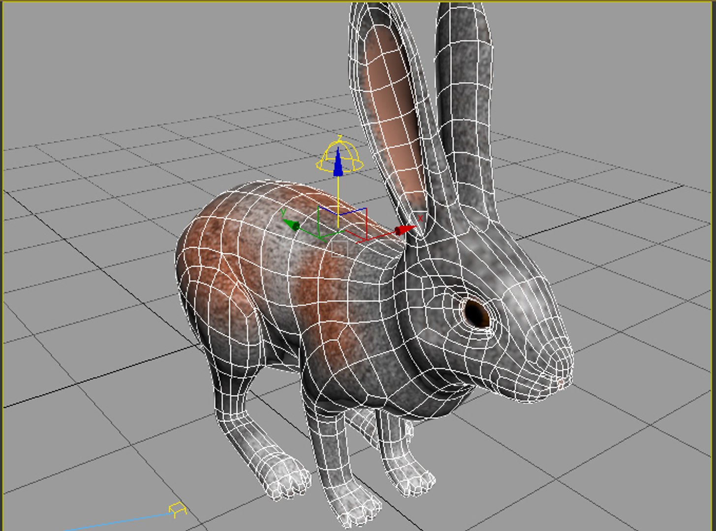 Max Rabbit Animate