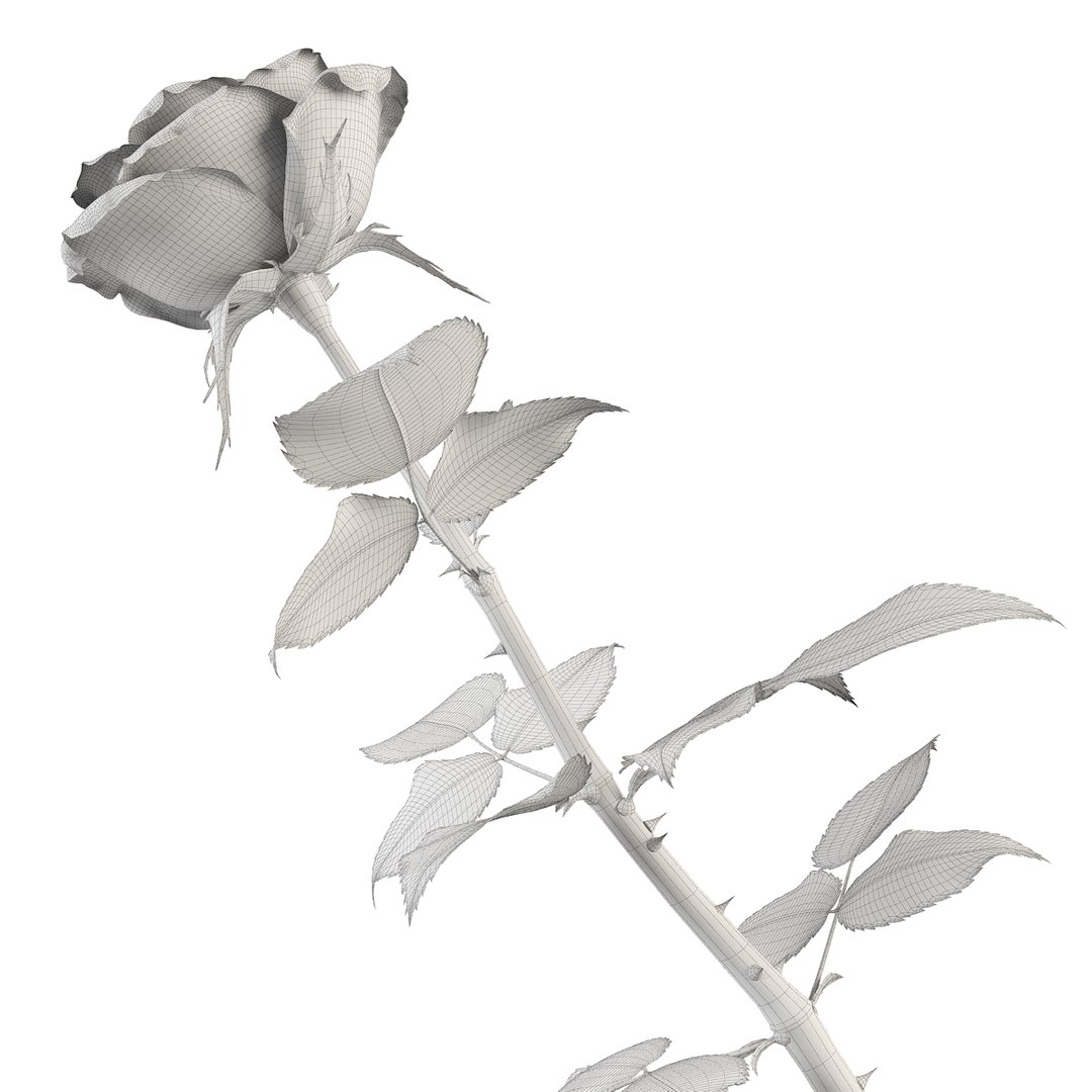 3d Max Rose Flower