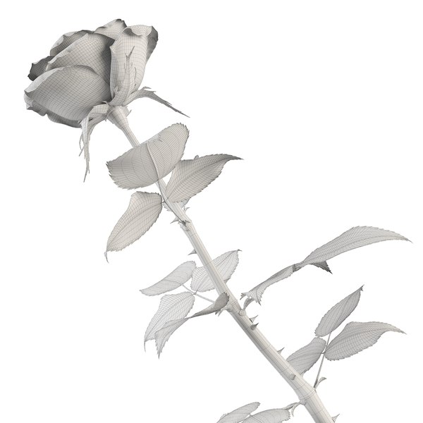 3d max rose flower