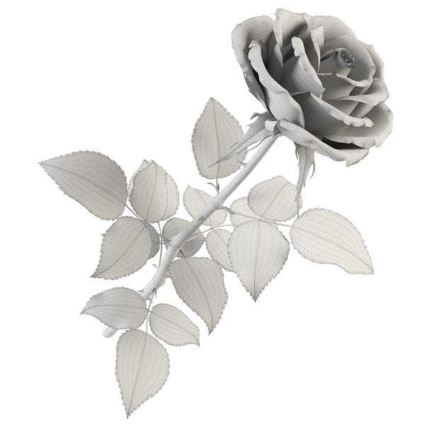 3d max rose flower