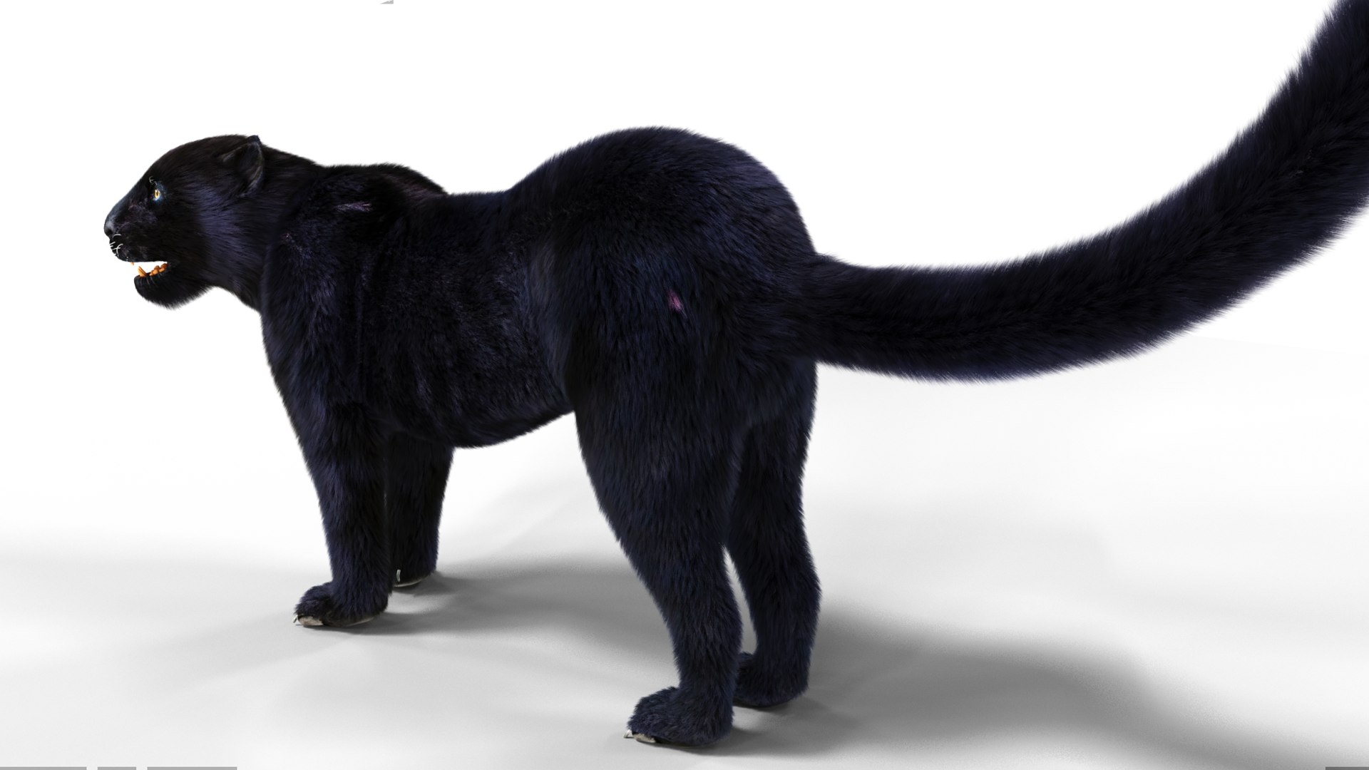 3D Fur Black Panther Rigged Model - TurboSquid 1725154