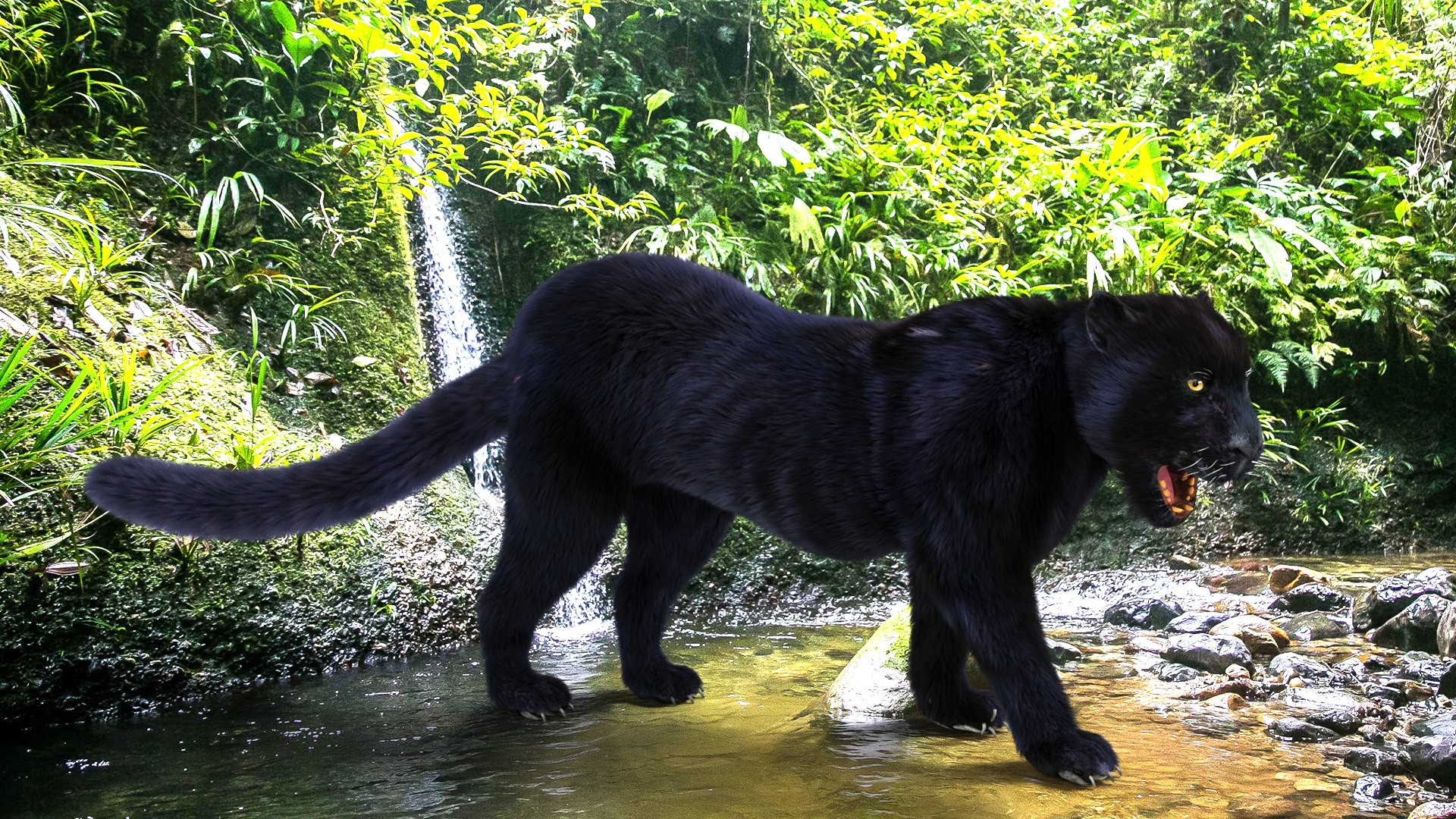 3D Fur Black Panther Rigged Model - TurboSquid 1725154