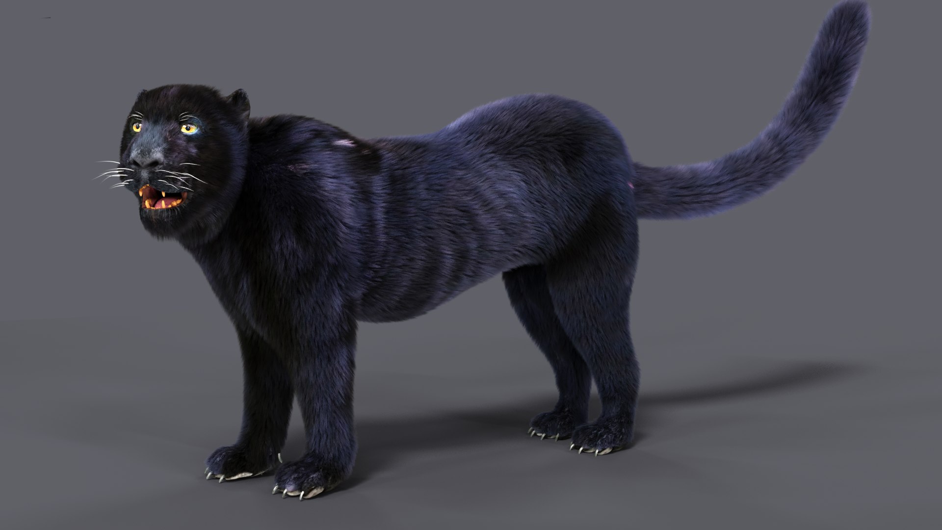 3D Fur Black Panther Rigged Model - TurboSquid 1725154