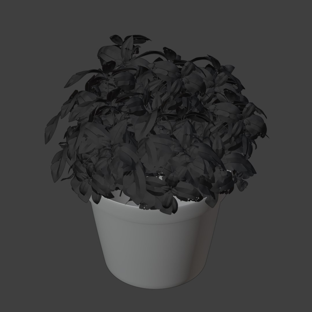 3D Basil Plant - TurboSquid 2362508