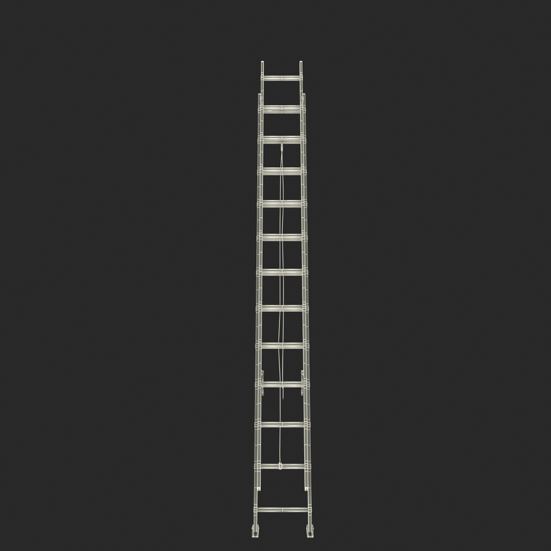 Aluminum Extension Ladder 3d Model
