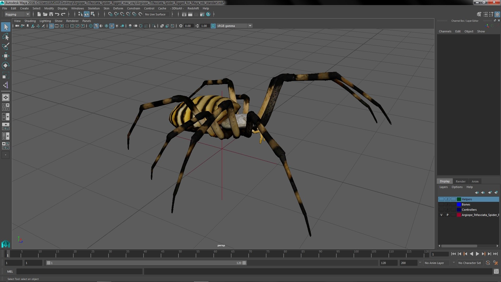 3D model Argiope Trifasciata Spider Rigged for Maya - TurboSquid 1964605