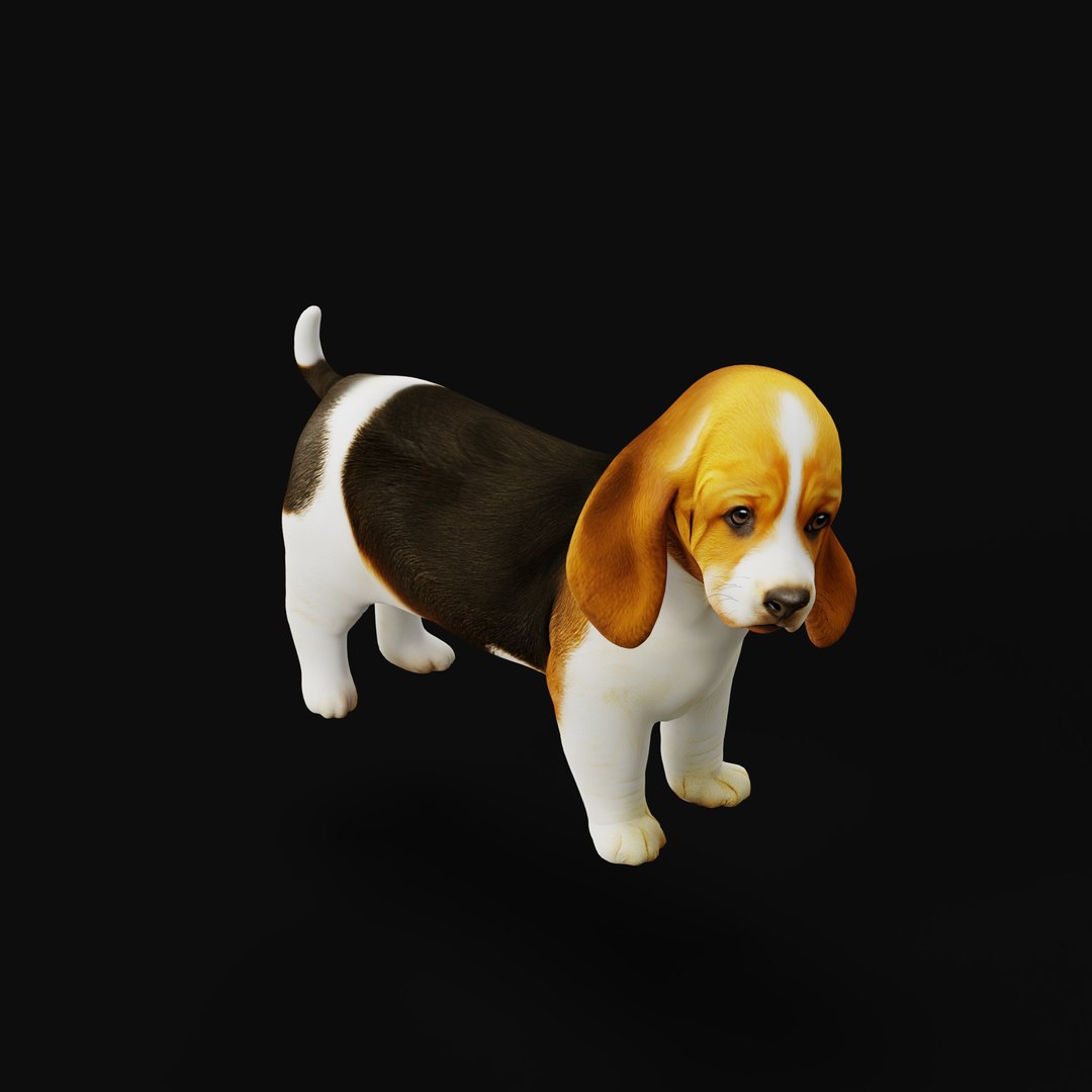 3D Basset Hound Puppy Dog Model - TurboSquid 2487023